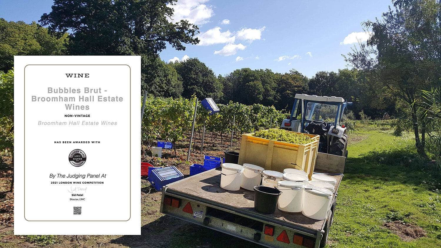 Home - Guestling House